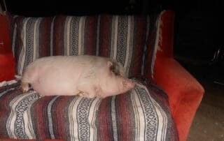 Rates and Regulations – Toad Rock Motorcycle Campground, Kootenay Lake BC